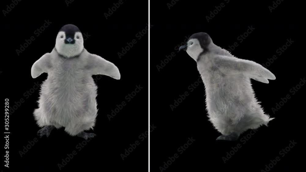 Penguin Run Zoo CG fur 3d rendering animal realistic CGI VFX Animation ...