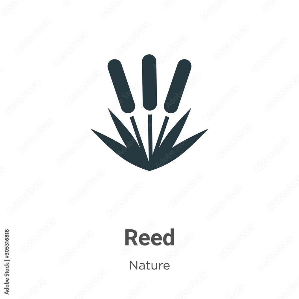 Vecteur Stock Reed vector icon on white background. Flat vector reed ...