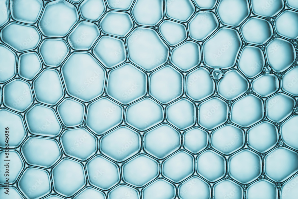 Cells division process, Cell divides into two cells Stock Photo | Adobe ...