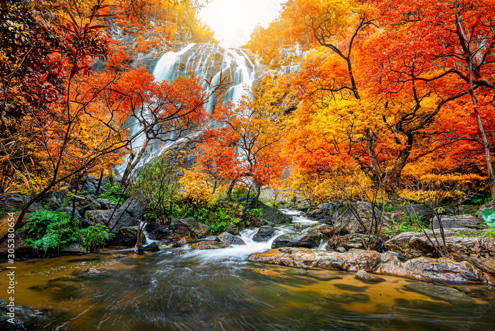 Amazing in nature, beautiful waterfall at colorful autumn forest in ...