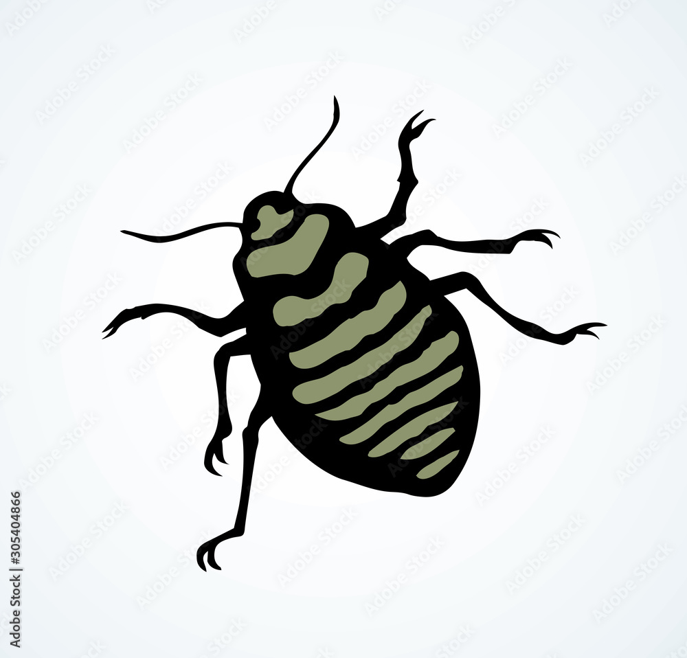 Beetle. Larva. Vector drawing Stock Vector | Adobe Stock