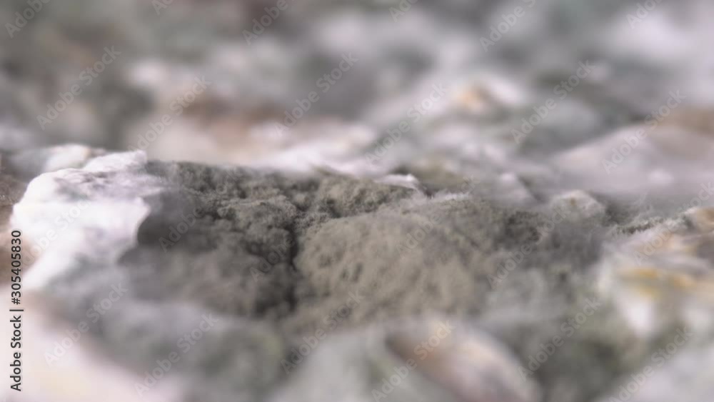 Penicillin and aspergillum mold on bread. Colonies of different species ...
