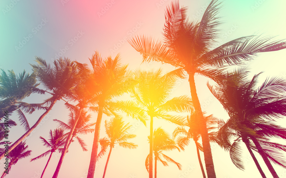 coconut tree at tropical coast, made with Vintage tones, and purple sky ...