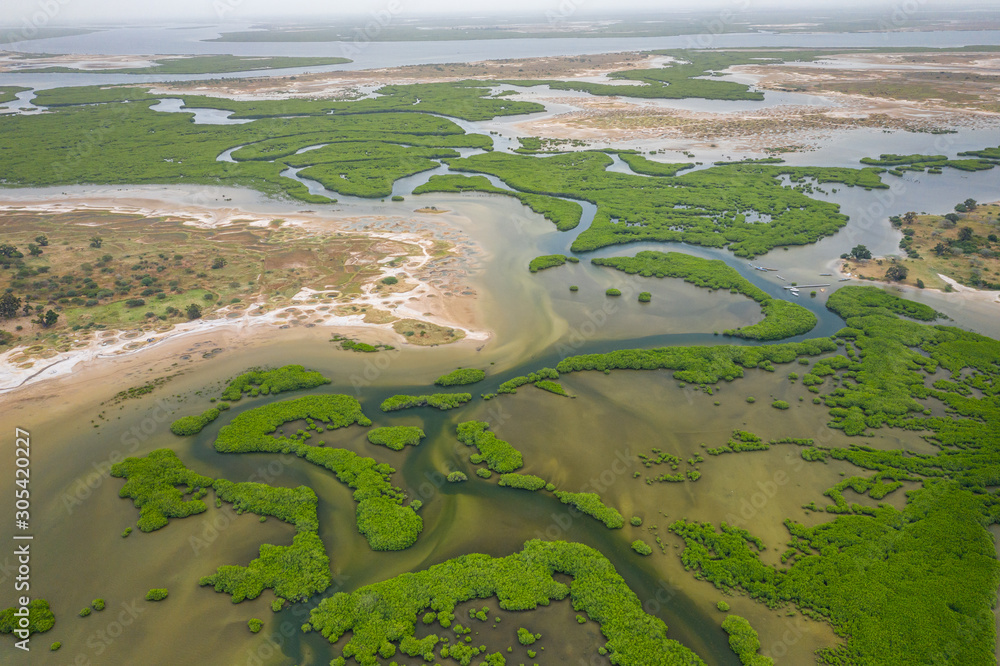 Aerial view of mangrove forest in the Saloum Delta National Park, Joal ...
