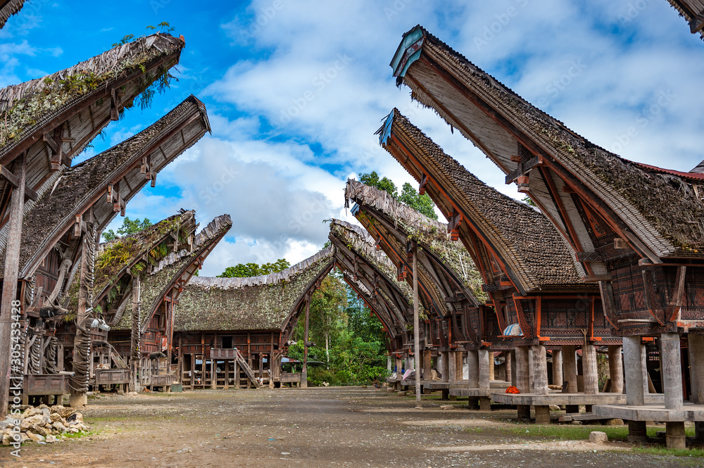 Tongkonan houses, traditional Torajan buildings, Tana Toraja, Sulawesi ...