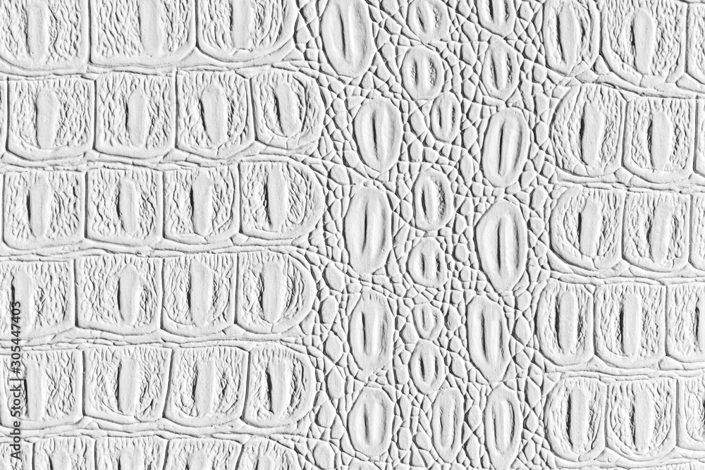 White crocodile leather texture. Abstract background for design with ...