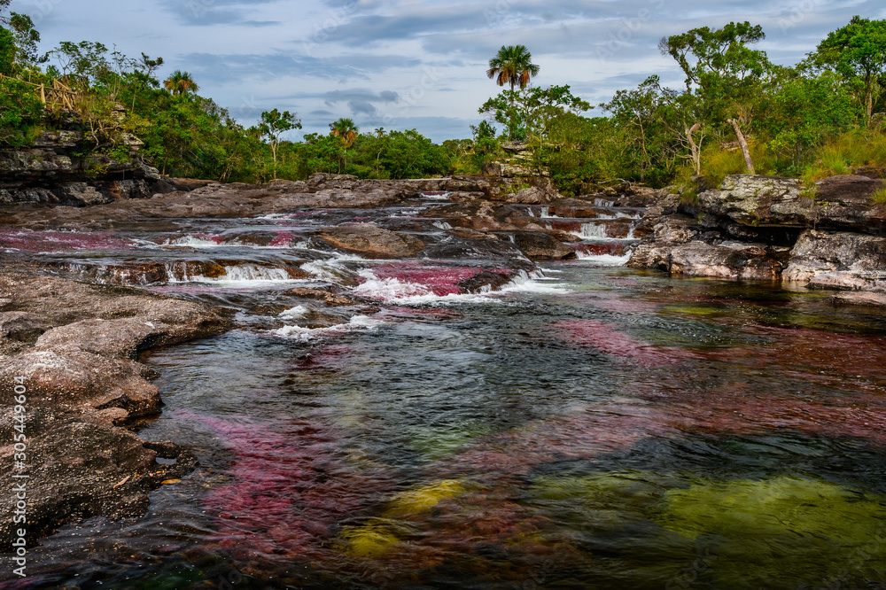 The rainbow river or five colors river is in Colombia one of the most ...