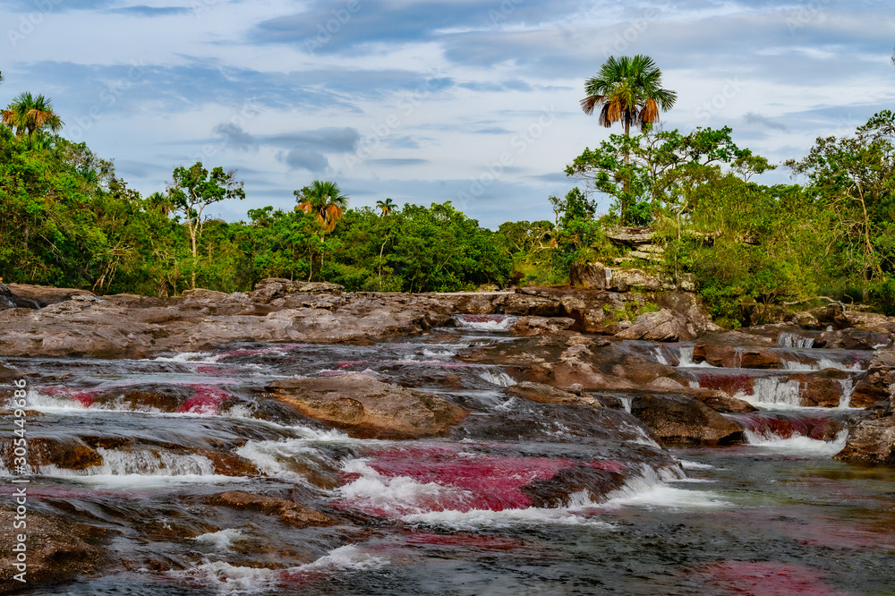 The rainbow river or five colors river is in Colombia one of the most ...