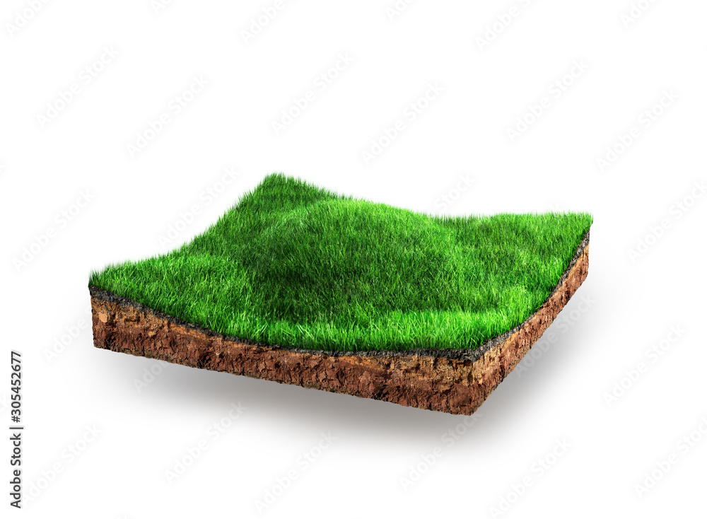 grassy section with cross section of soil geology, 3D illustration ...