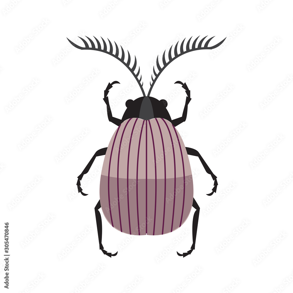 Simple Scarab Symbol