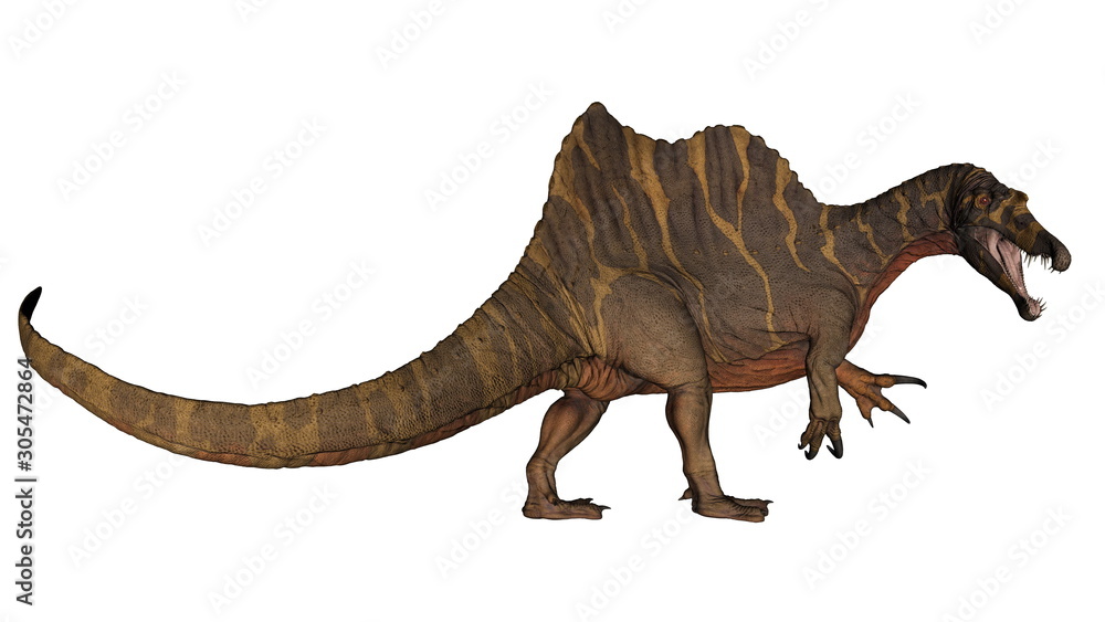 Spinosaurus dinosaur raoring while walking - 3D render Stock ...