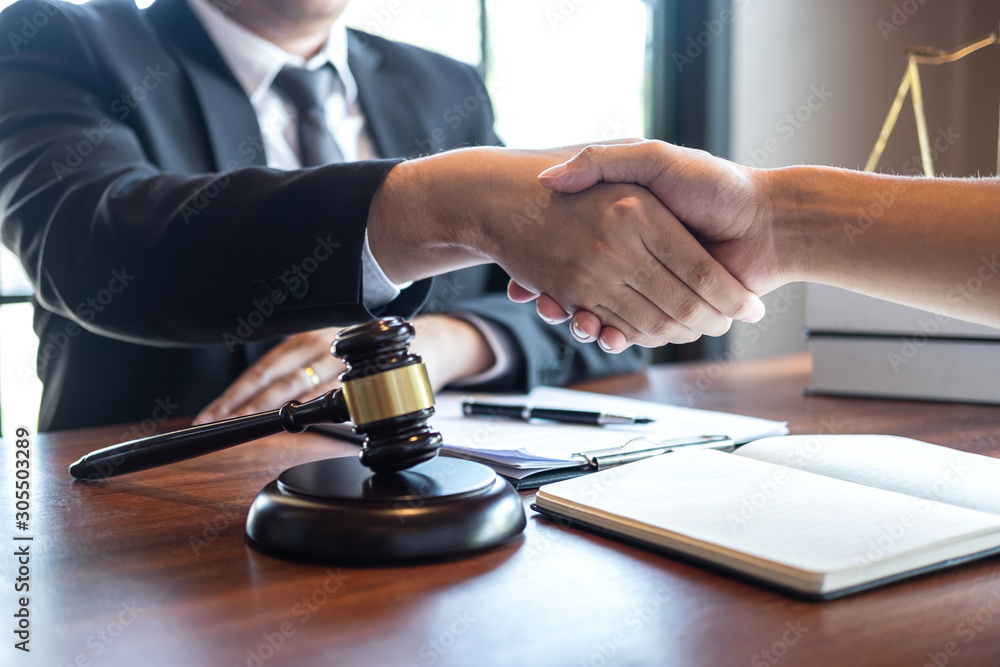 Handshake after good deal negotiation cooperation, Professional male ...