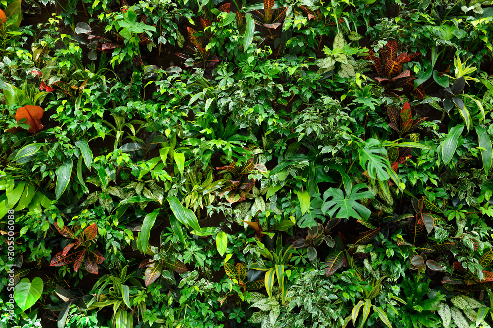 Living Wall Biofilter of tropical plants indoors at Royal Botanical ...