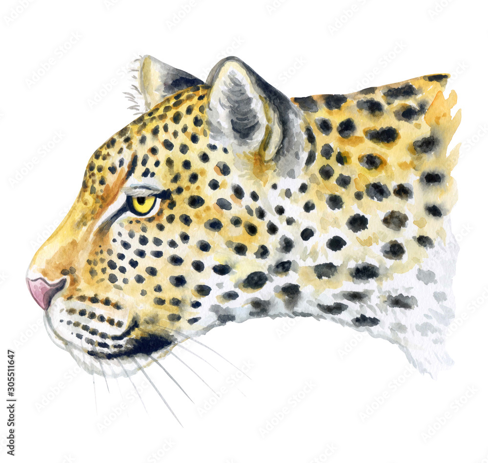 Realistic Leopard muzzle in profile isolated on white background ...