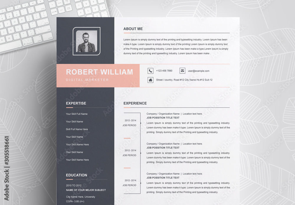 Resume Layout with Dark Blue Sidebar and Pink Accents Stock Template ...