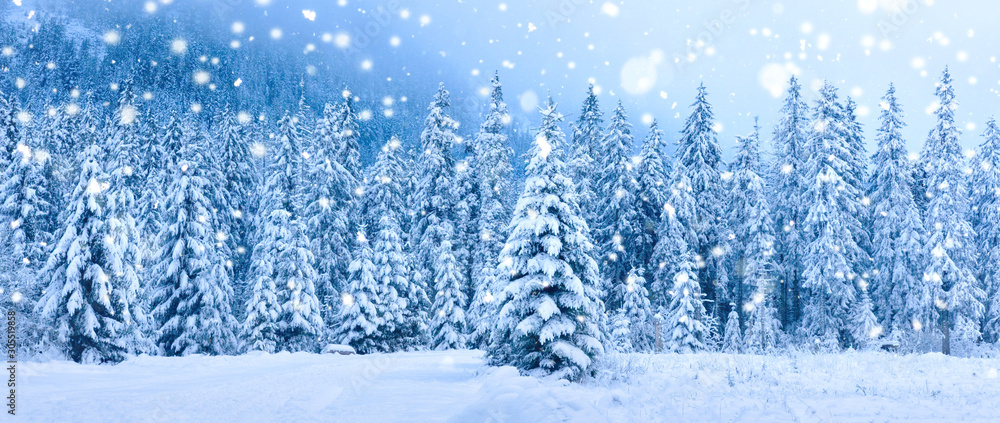 Winter Forest Christmas