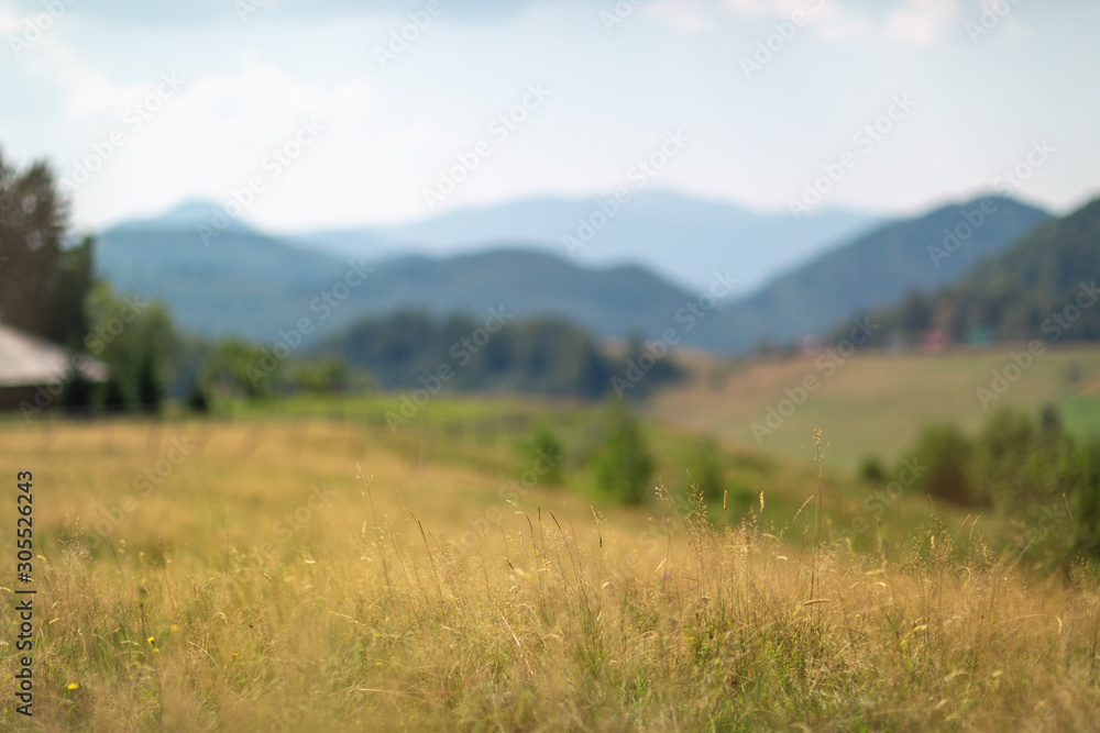 Blurry Landscape Backdrops