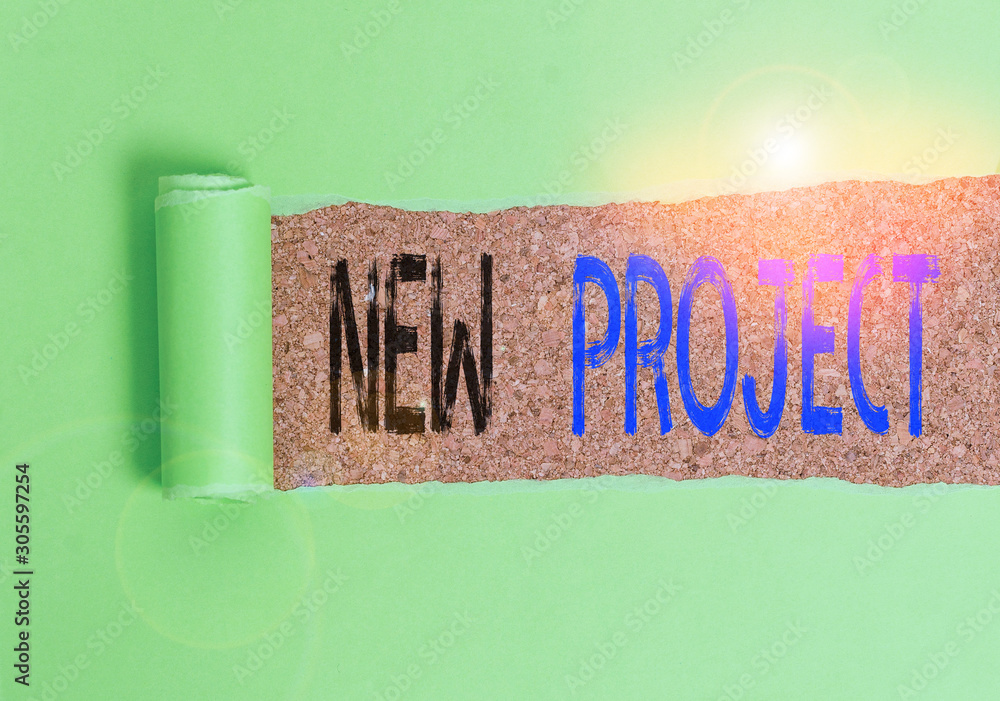 Text sign showing New Project. Business photo text Planned set of ...