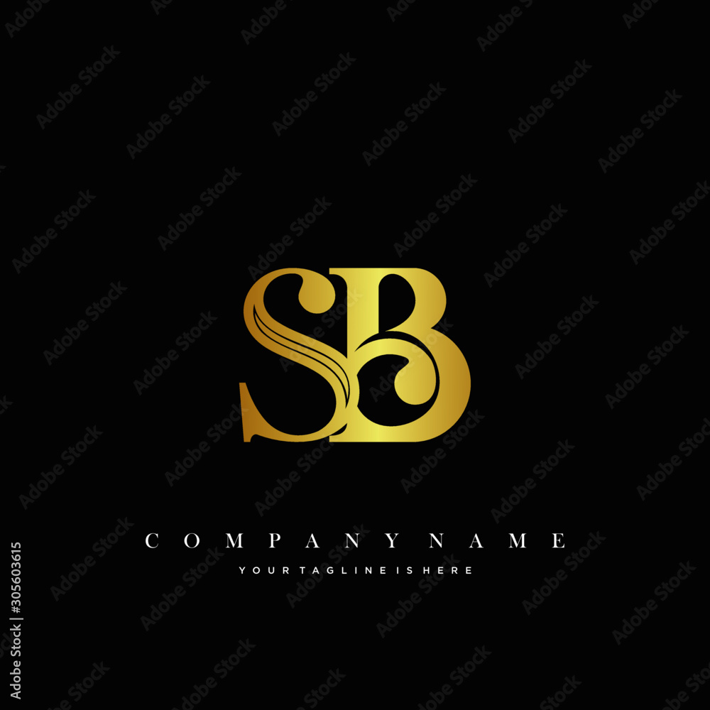 Initial Letter SB Logo Template Design Stock Vector | Adobe Stock
