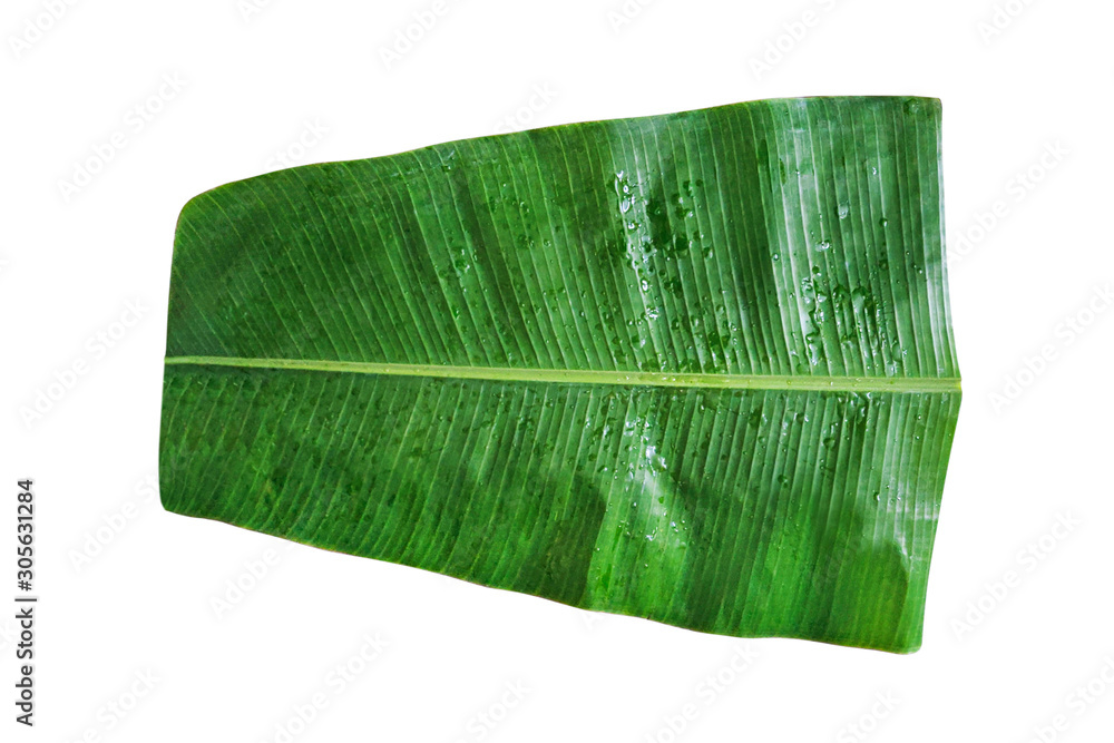 Banana leaf to eat food on white background Stock Photo | Adobe Stock