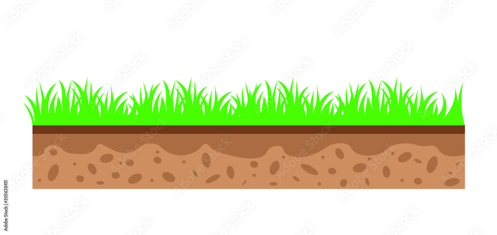 Vector green grass texture illustration: natural, organic, bio, eco ...