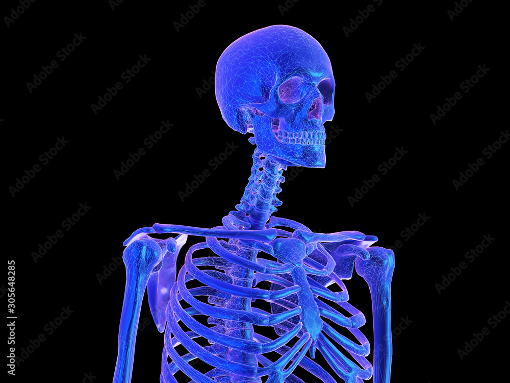 3d rendered abstract synthwave style illustration of a human skeleton ...