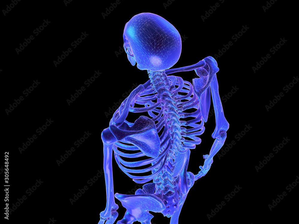 3d rendered abstract synthwave style illustration of a human skeleton ...