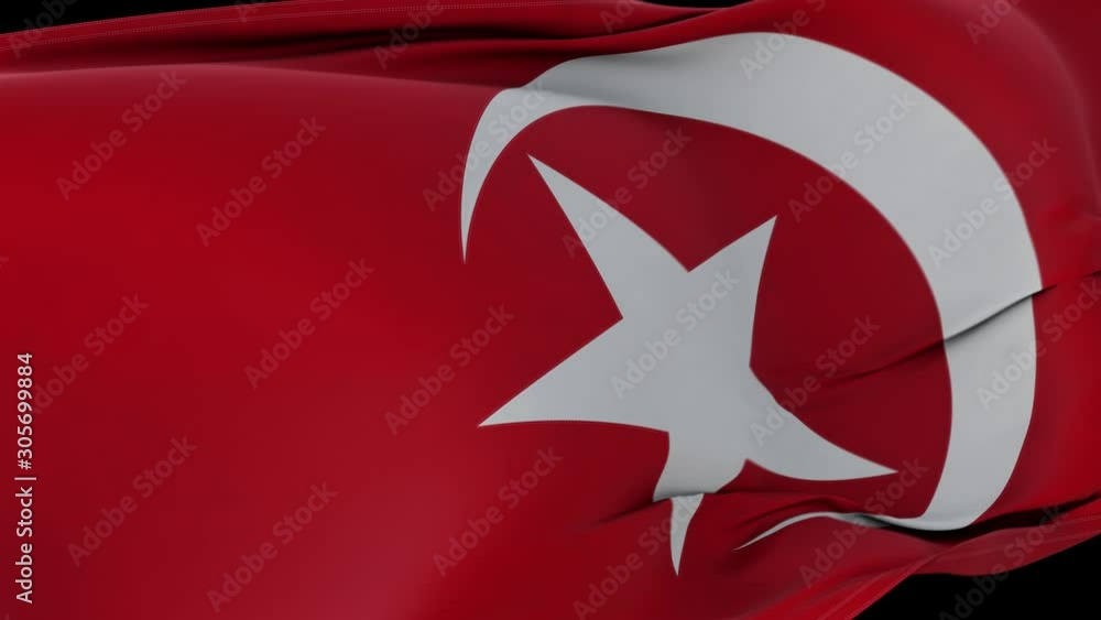 Flag bearing the symbol of Islam slowly waving. Includes alpha Matte ...