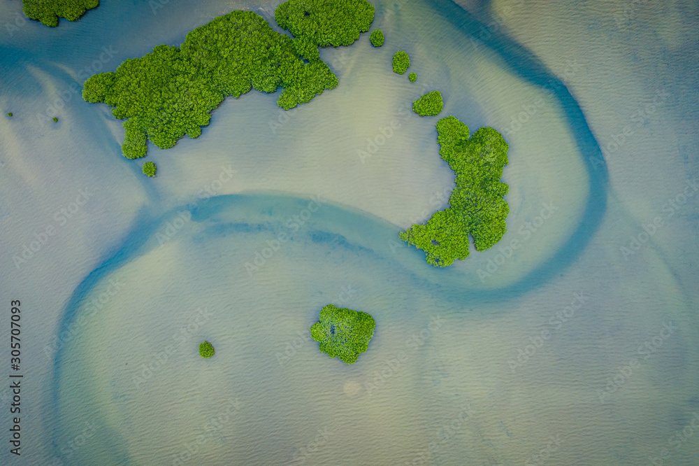 Senegal Mangroves. Aerial view of mangrove forest in the Saloum Delta ...