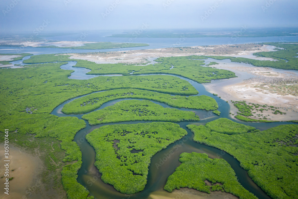 Senegal Mangroves. Aerial view of mangrove forest in the Saloum Delta ...