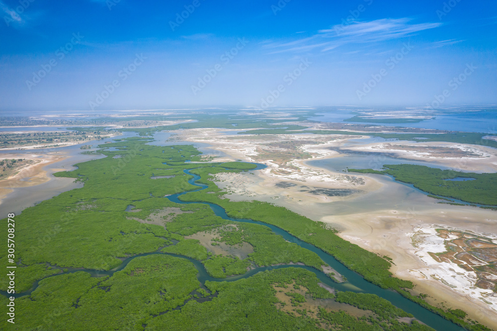 Senegal Mangroves. Aerial view of mangrove forest in the Saloum Delta ...