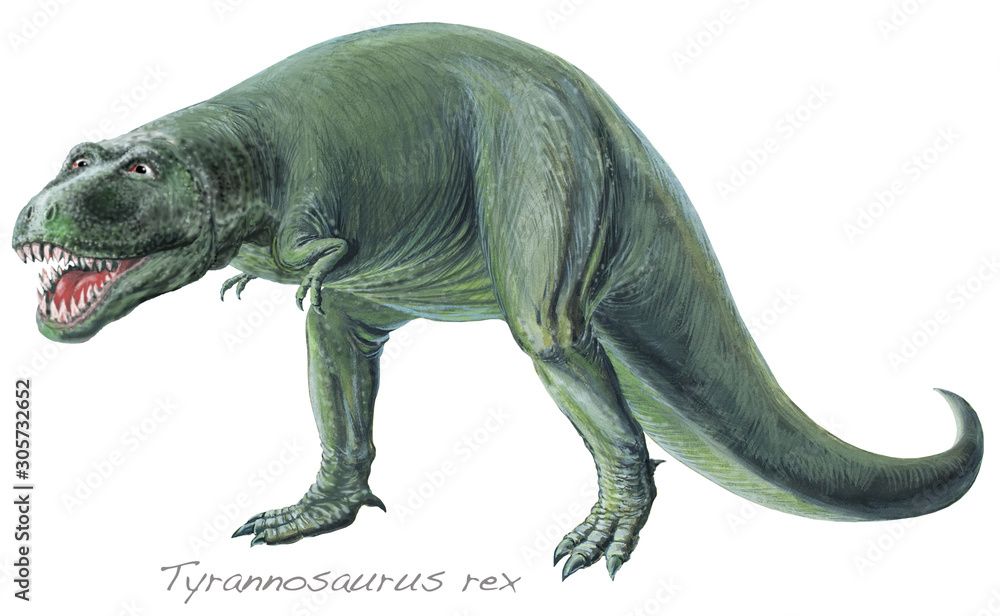 TYRANNOSAURUS REX. One of the largest flesh-eating dinosaurs. About ...