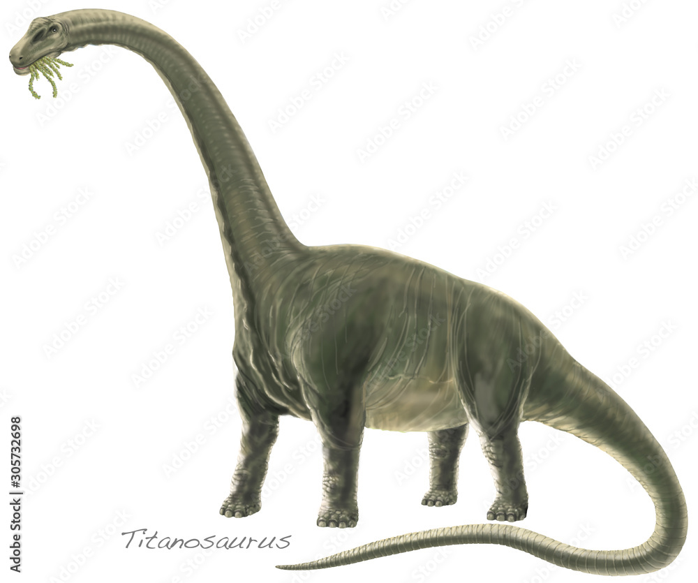 Titanosaurus