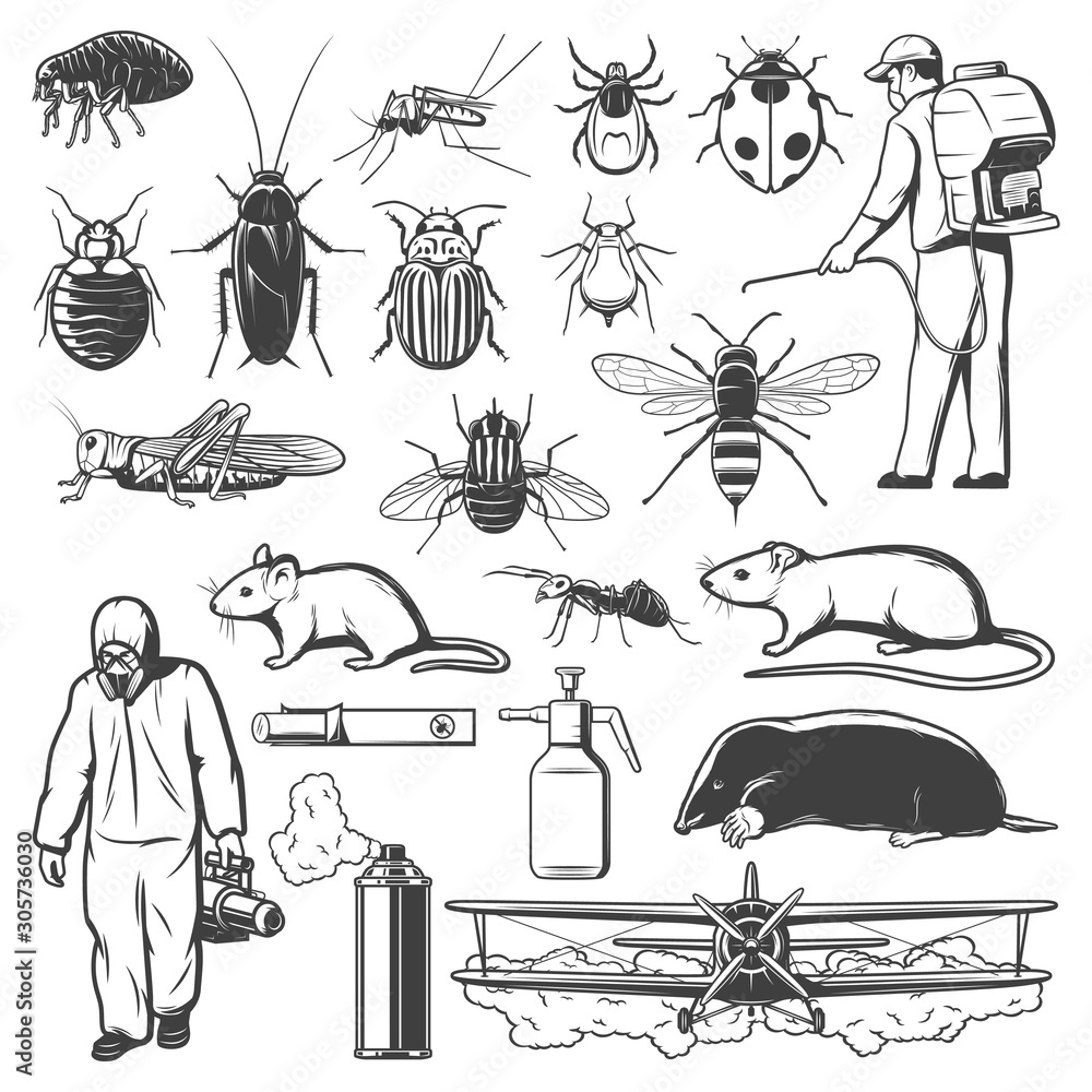 Pest control sketches with insects, insecticide, rodent and ...
