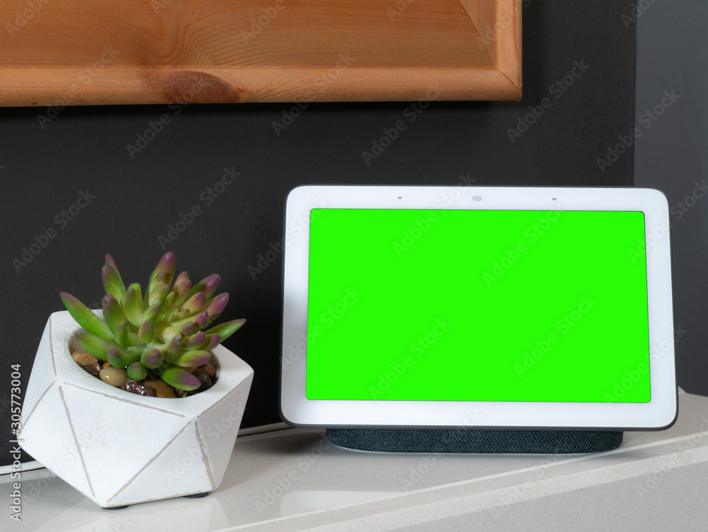 Smart home speaker voice assistant touchscreen in home setting with ...