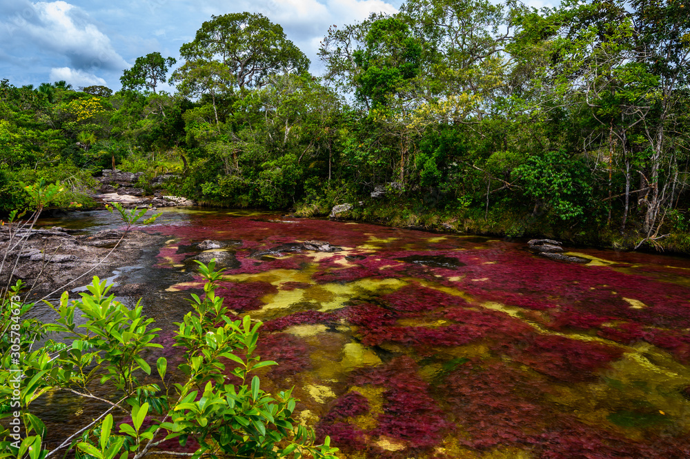 The rainbow river or five colors river is in Colombia one of the most ...
