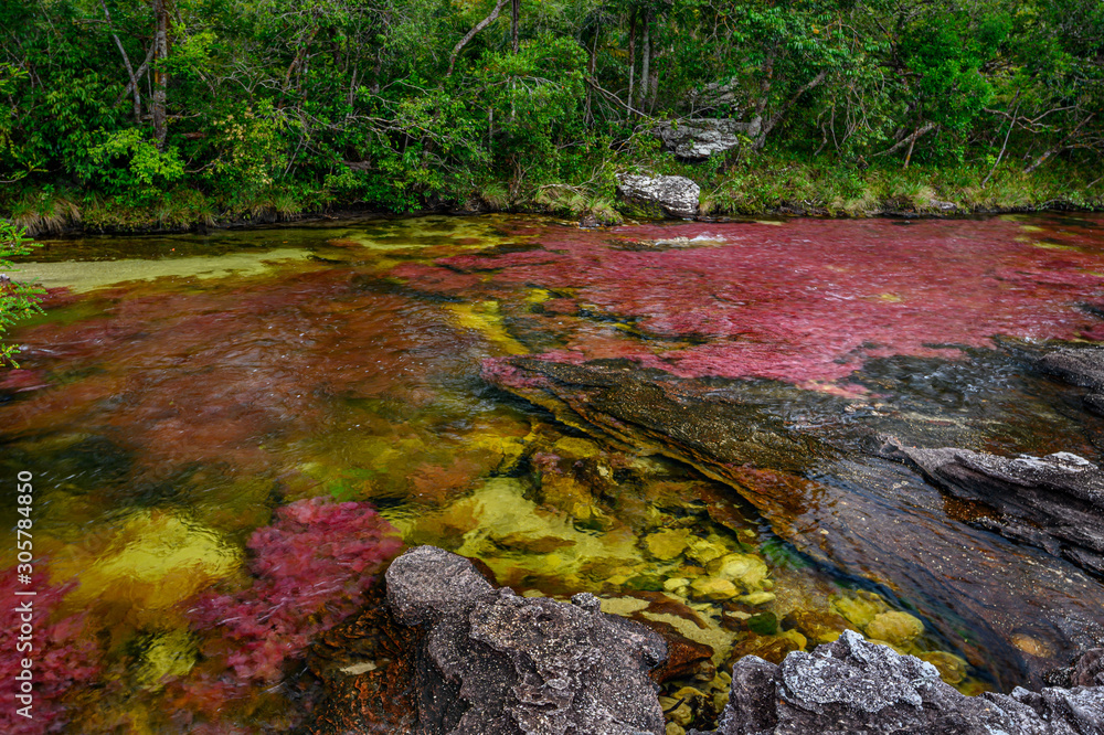 The rainbow river or five colors river is in Colombia one of the most ...