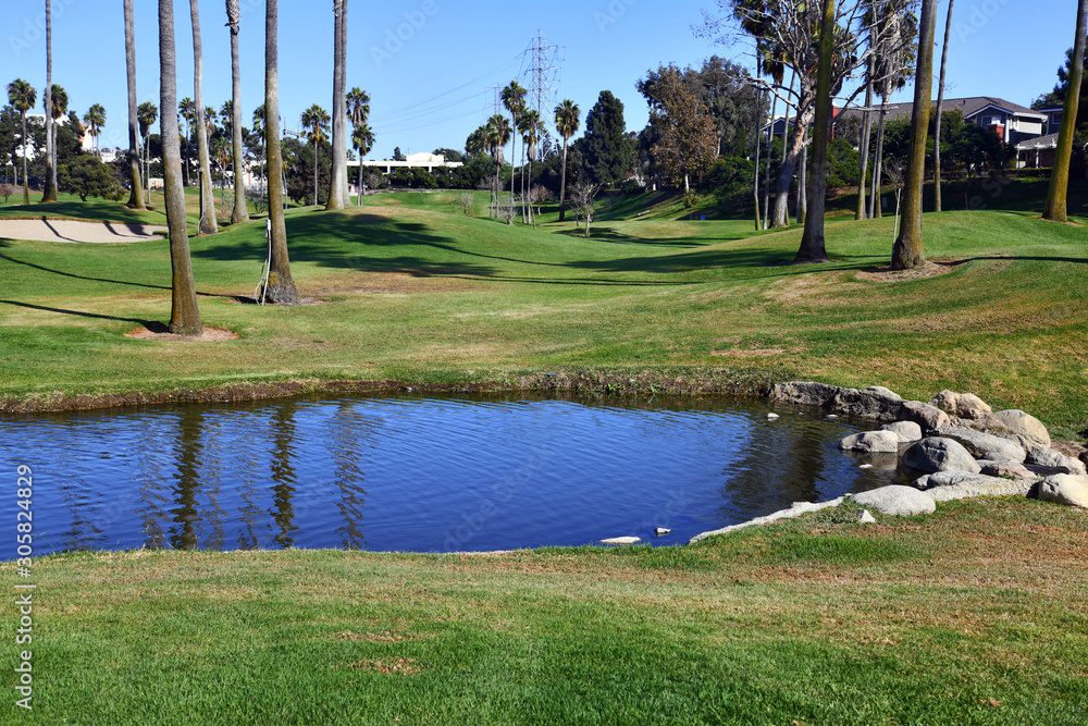Green manicured grass of golf course fairway grass and rough with water ...