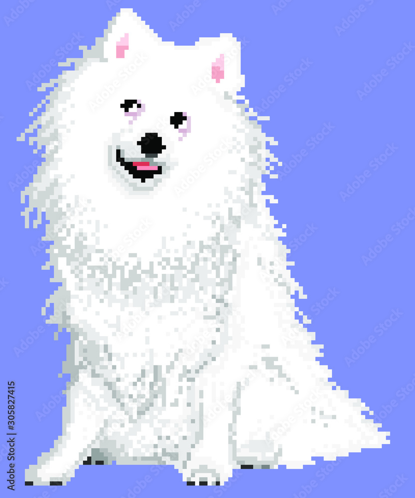 vector pixel art white Spitz dog isolated on blue background. Stock ...