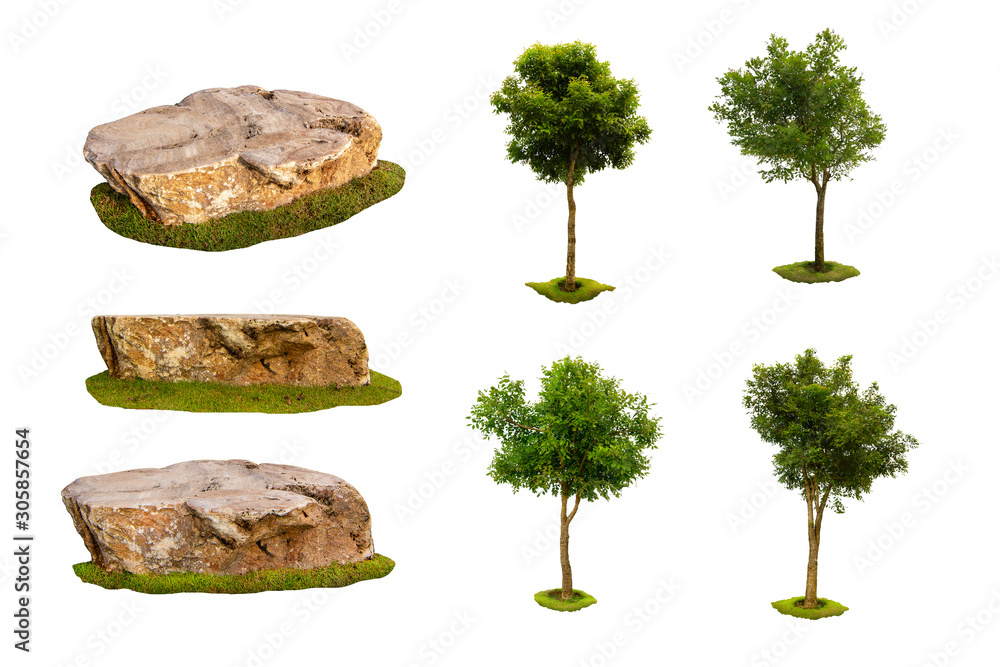 The trees. Mountain on the island and rocks.Isolated on White ...