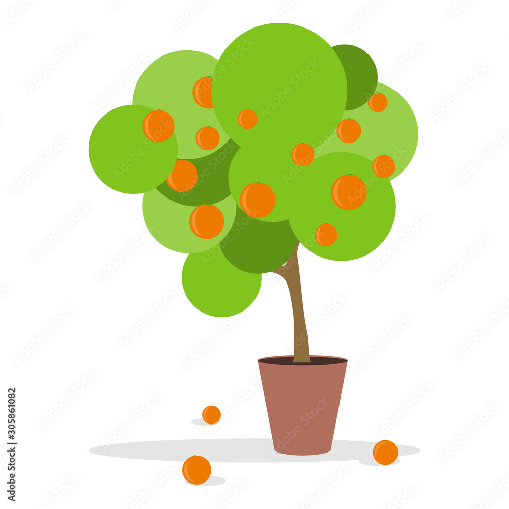 Orange tree. Realistic orange tree in a pot with hanging ripe oranges ...