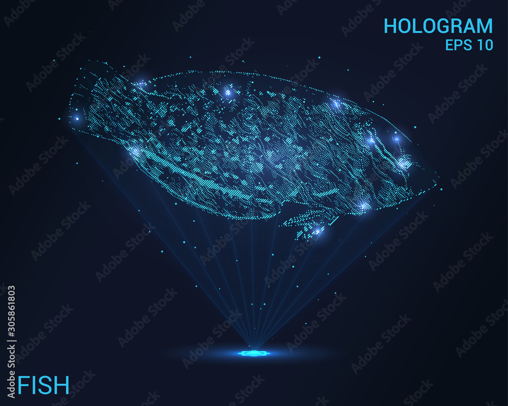 Hologram fish. Holographic projection fish. Flickering energy flux of ...