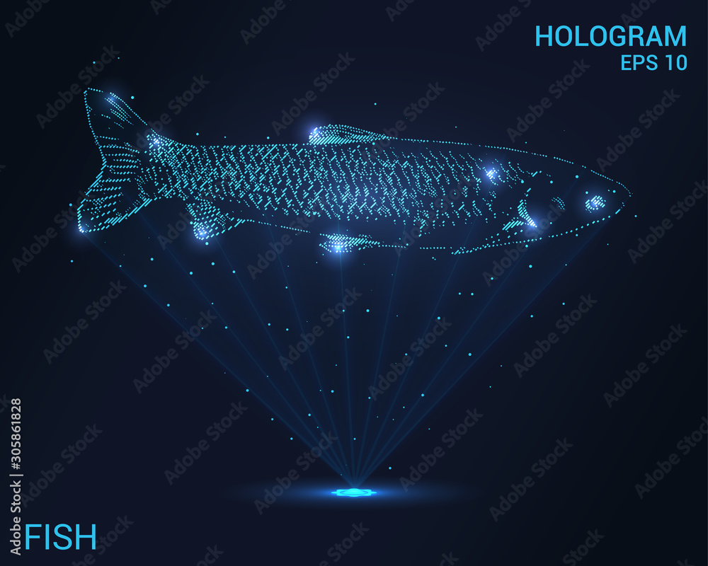 Hologram fish. A holographic projection of river fish. Flickering ...