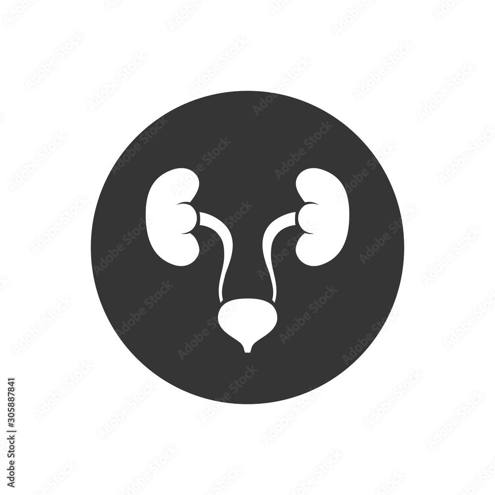 Urinary system vector white icon isolated on gray Stock Vector | Adobe ...