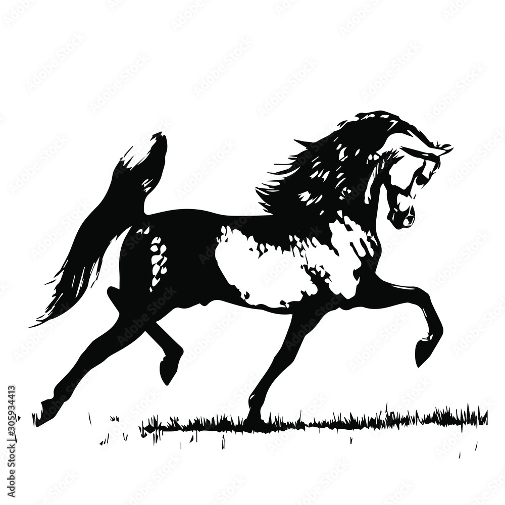 Hand drawn horse vector isolated on a transparent background Stock ...