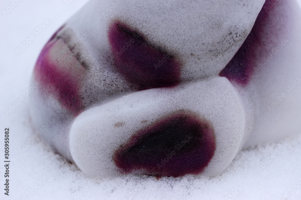 Colorful chemical reaction of decomposition of hydrogen peroxide in a ...