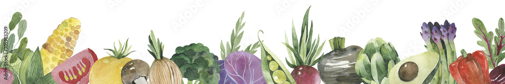 border design of fresh vegetables, isolated on white Stock Illustration ...