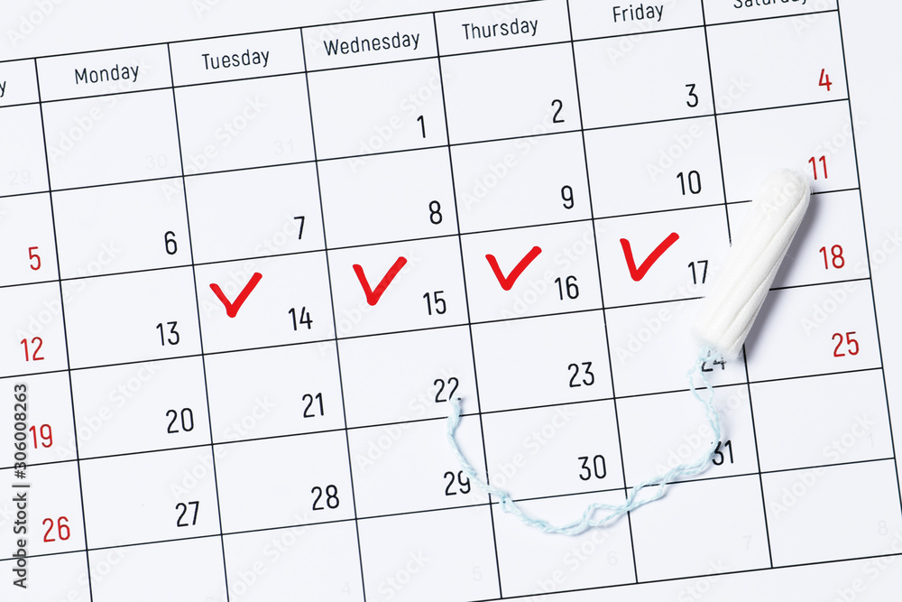 Ovulation Cycle Calendar