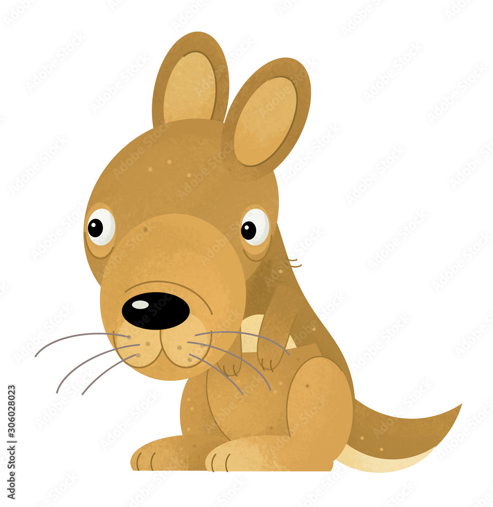 cartoon scene with happy and funny kangaroo on white background ...