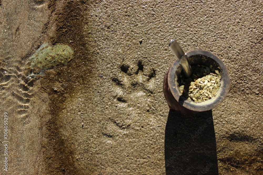 Otter Tracks In Sand